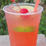 Fresh Squeezed Lemon and Limeade by Giggles